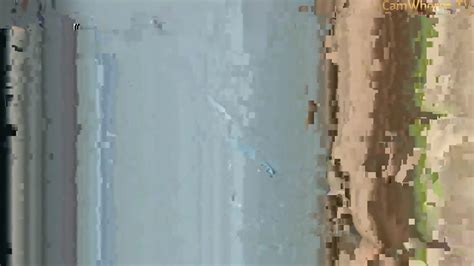 Real Babes Shana Lane Roxy Lane Real Babes Shana Lane Roxy Lane