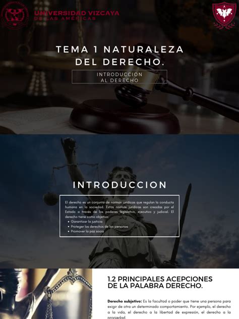 Naturaleza Del Derecho Pdf Estado Política La Ley Natural