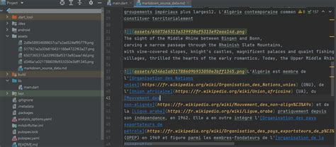 Dart How To Embed Image In Markdown File In Flutter Stack Overflow