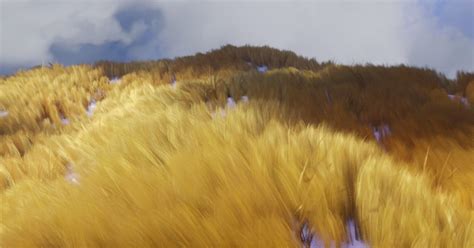 Best 13 Master The Sky Texture In Blender Artofit