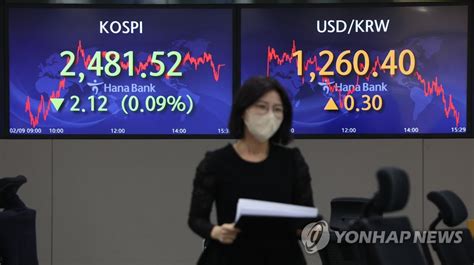 코스피 2480대 약보합 마감환율 12604원종합 나무뉴스