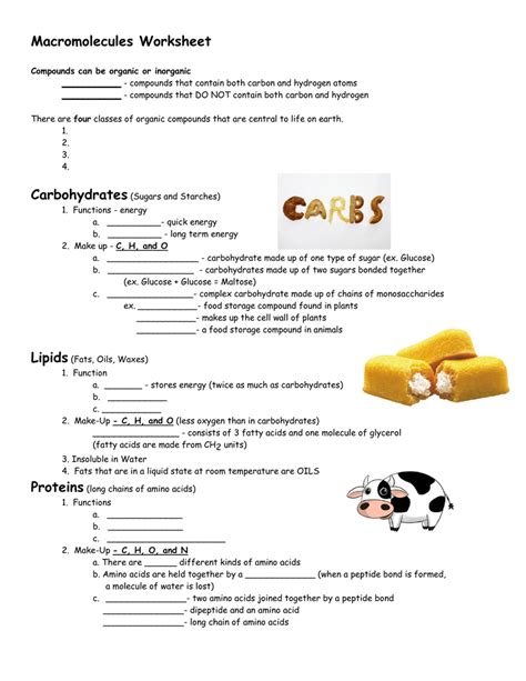 Macromolecules Worksheet Answer Key Ame My Id