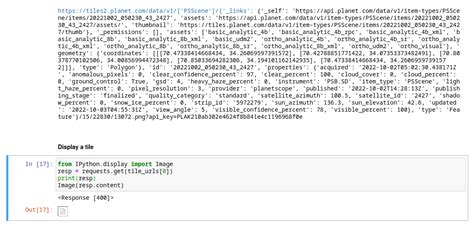 Problem Running Visualize Imagery Over Time And Api Key Not Work For Tiles Api Issue