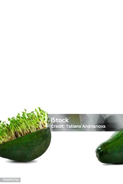수직 흰색 빈 배경의 아래쪽에 있는 아보카도 피부에 신선한 녹색 물 크레스 마이크로 그린 격리 창의적인 음식 컨셉 건강 한 식습관 0명에 대한 스톡 사진 및 기타 이미지