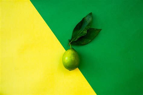 노란색 녹색 파스텔 배경에 노란색 레몬 개념 과일의 여름 아이디어 야채 건강한 먹는 라이프 스타일 플랫 평지 0명에 대한 스톡 사진 및 기타 이미지 Istock