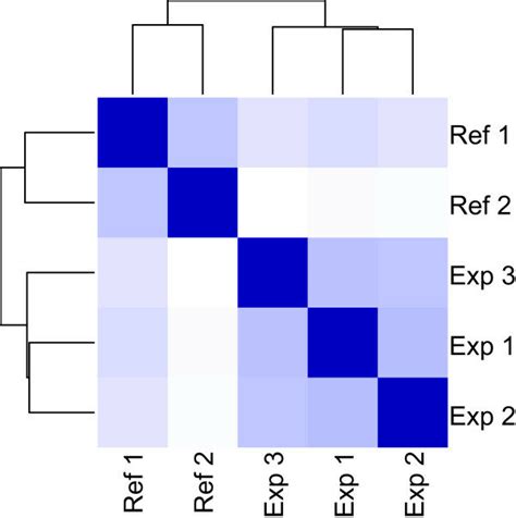Sample Clustering Samples Are Clustered By Similarity Of Gene Download Scientific Diagram