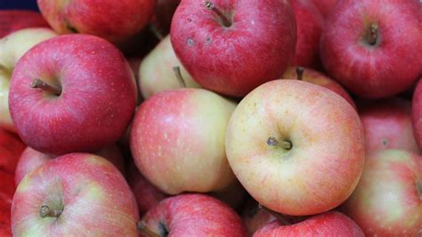 Нищят плодов картел в Белгия Новини бг