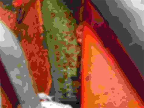 Broach Marks Corvetteforum Chevrolet Corvette Forum Discussion