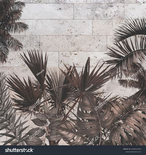 Tropical Trees Leaves Foggy Forest Wallpaper Stock Illustration 2242913919 Shutterstock