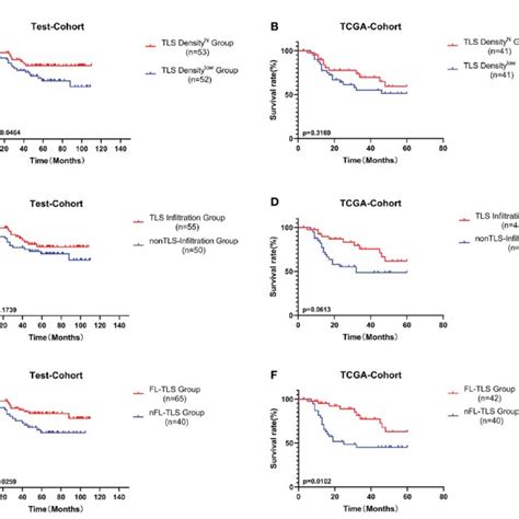Prognostic Analysis Of Different Tls Related Features A Patients Download Scientific Diagram