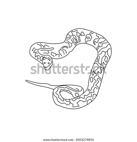 Python Line Drawing Clip Art เวกเตอร์สต็อก ปลอดค่าลิขสิทธิ์ 2003274896 Shutterstock