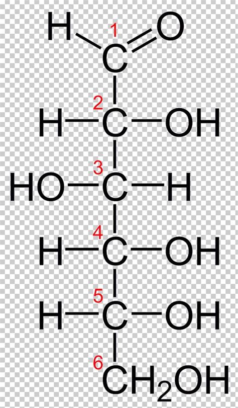 Sucrose Fisher Projection