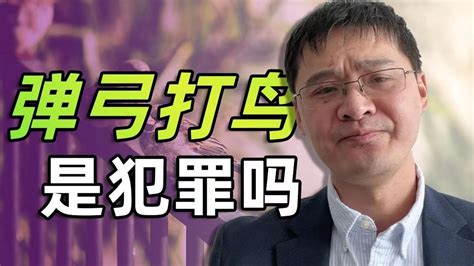 罗翔弹弓打麻雀到底犯不犯罪刑还是不刑 YouTube