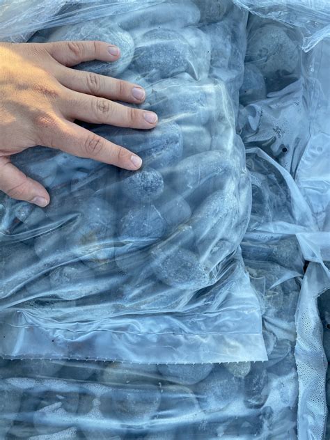 Roedells Landscaping Inc Another Possible Issue For Drainage Issues Could Be Poor Design