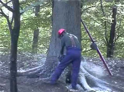 Cric Forestier YouTube