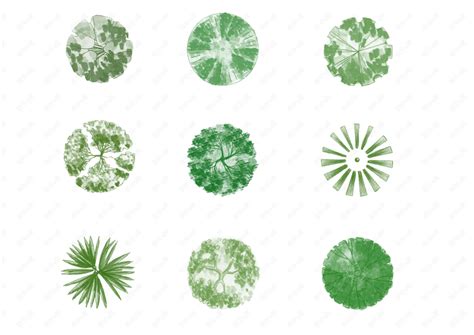 Ps平面树笔刷 植物笔刷 Ps笔刷 Ps素材 设计e周