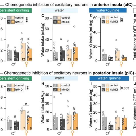 Coding Properties Of Posterior Insular Cortex Pic Excitatory Neurons Download Scientific