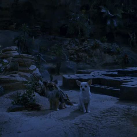 Tiny But Mighty Beverly Hills Chihuahua Quote