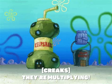 Multiplying Kelp Shake  Multiplying Kelp Shake Spongebob Meme