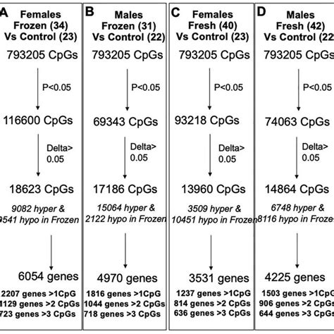 Sex Specific Analysis A And B Methylation Differences In Human Download Scientific Diagram