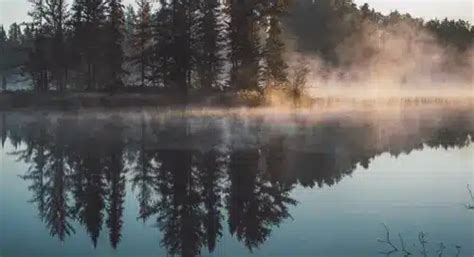 Tapping Into Palo Alto Networks Cortex Data Lake Ordr