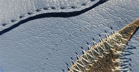 H12 Af1 Mca Album On Imgur