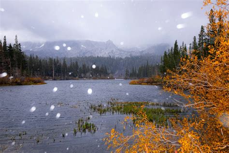 Mammoth Lakes Fall Colors Visit Mammoth