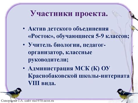 Поможем зимующим птицам презентация онлайн