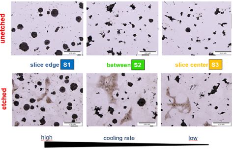 Microstructure Of Cone 1 En Gjs 400 15 Download Scientific Diagram