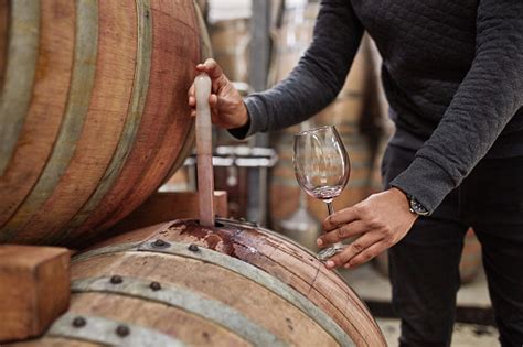 와인 탭 유리 및 와이너리 컨테이너 보관 알코올 음료를 부을 준비가 된 작업자 주류용 플라스틱 파이프가 있는 서비스 직원의 상점 상점 또는 농업 농장 재고 와인 저장고에