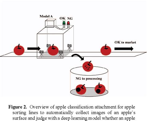 Figure 1 From Tuning Small Datasets For A Custom Apple Sorting System