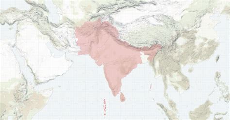 Decoding Fundamentals Of Fundamentalism In Indian Subcontinent