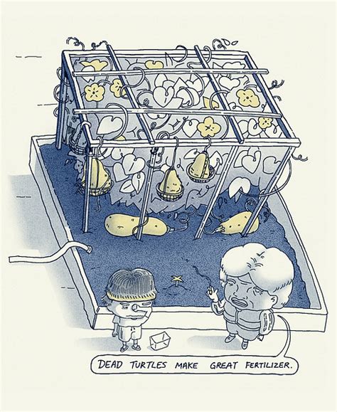 Soft Shell Disease Jennifer Nie