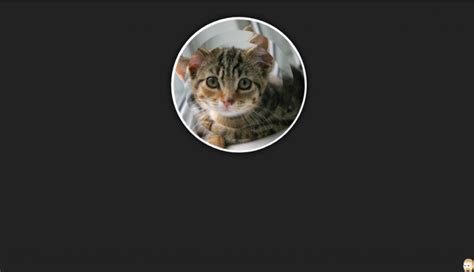 Image Animation CSS And Transition Effects OnAirCode
