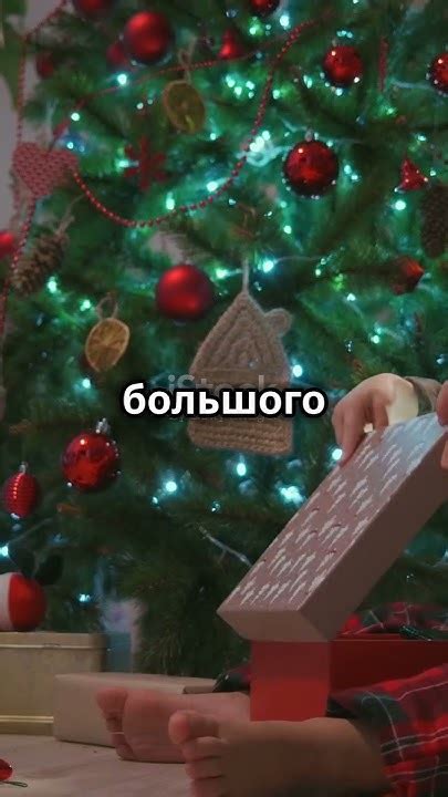 Новогоднее чудо Как рос шоколадный Дед Мороз Youtube