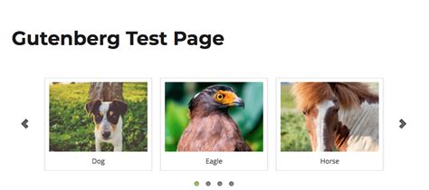 How To Add Shortcode To The New Gutenberg Editor WordPress Plugin