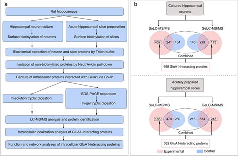 Intracellular Interaction Proteomics Analysis Of Cell Surface Receptor Download Scientific