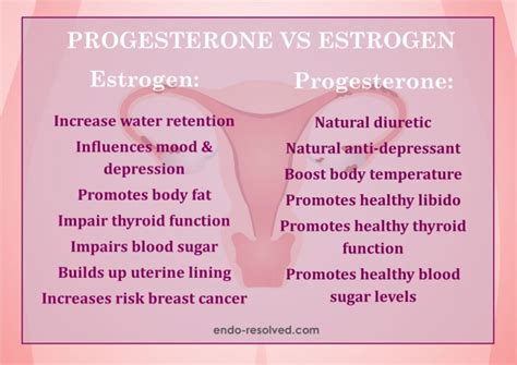 Difference Between Oestrogen And Progesterone Compare The 41 OFF