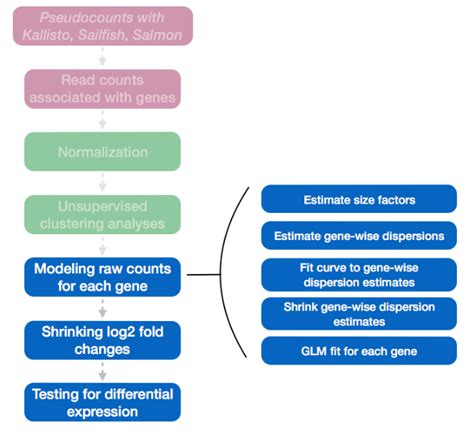 Rna Seq 详细教程： `deseq2` 差异表达分析（7） 数据科学工厂 博客园