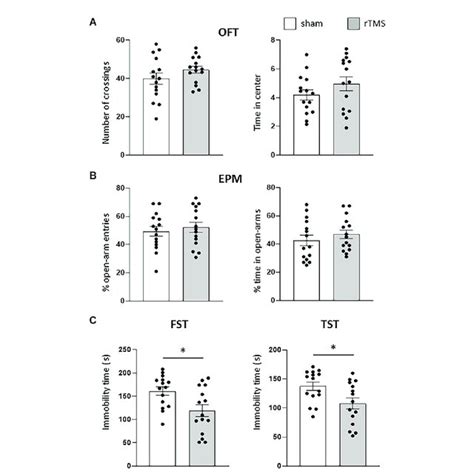 High Frequency Rtms Hf Rtms Stimulation And Experimental Design A Download Scientific