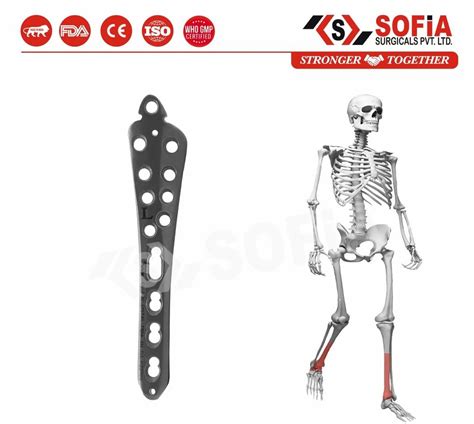 LOCKING MEDIAL DISTAL TIBIA PLATE TI At Piece Bone Lock Plates In New Delhi ID