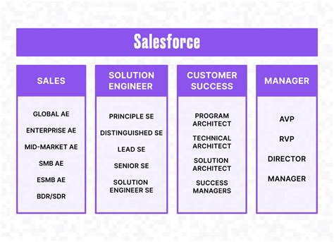 Ultimate Guide To Salesforce Career Paths Infographic Salesforce Ben