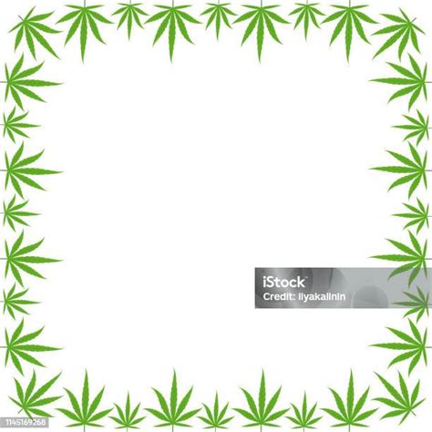 마리화나 녹색 잔디 프레임 배너입니다 대마초 대 마 식물 테두리 프레임 격리 투명 배경입니다 텍스트 위치에 대 한 공간을 복사 합니다 녹색에 대한 스톡 벡터 아트 및 기타