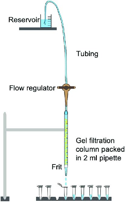 Schematic Of Gel Filtration Setup For Purification Of Large