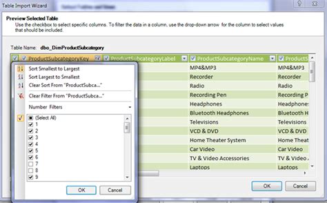 Microsoft Powerpivot For Excel 2010 Importing Data Better And Faster Decisions