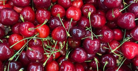 건강 건강한 계절 과일 과즙이 많은 날 것 노화 방지제 농산물 시장 농업 농작물 농장 다이어트 단 음식 달콤한 디저트 맛있는 반짝반짝 빛나는