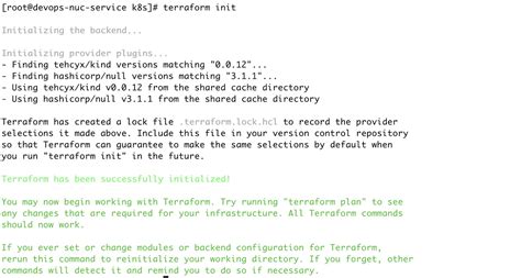 Setting Up Debian 12 Cloud Image For Vmware Esxi With Terraform And