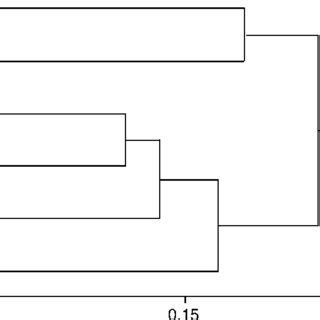 Upgma Dendrogram Based On Nei S Genetic Distance Download Scientific Diagram