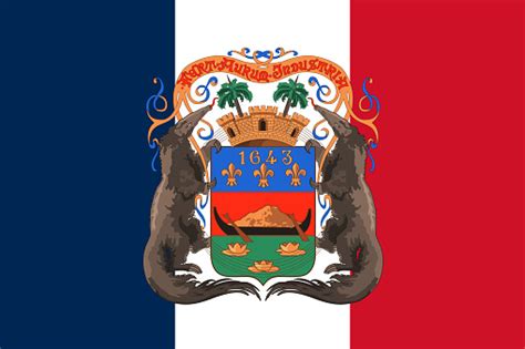 프랑스 기아나 부서의 공식 현재 국기와 문장 프랑스 기아나의 국기 그림 0명에 대한 스톡 벡터 아트 및 기타 이미지 0명