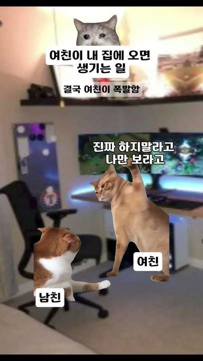 여친이 내 집에 오면 생기는 일 원본출처캡컷 さくら ゆき님 Youtube